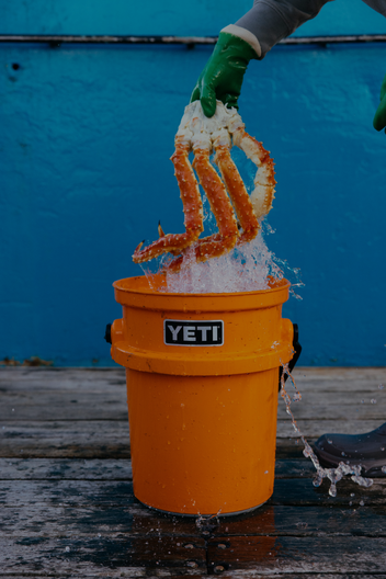 YETI Premium Cool Boxes, Drinkware, And More – YETI UK LIMITED